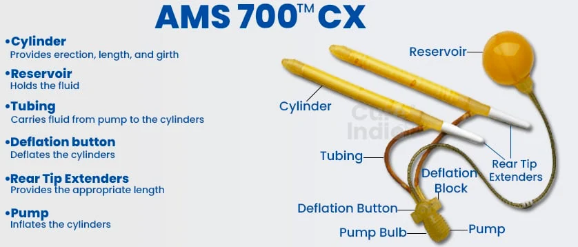 AMS 700 CX Penile Implant Cost, Sizes & Warranty