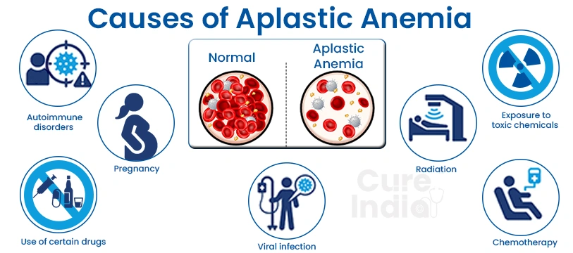 aplastic anaemia risks